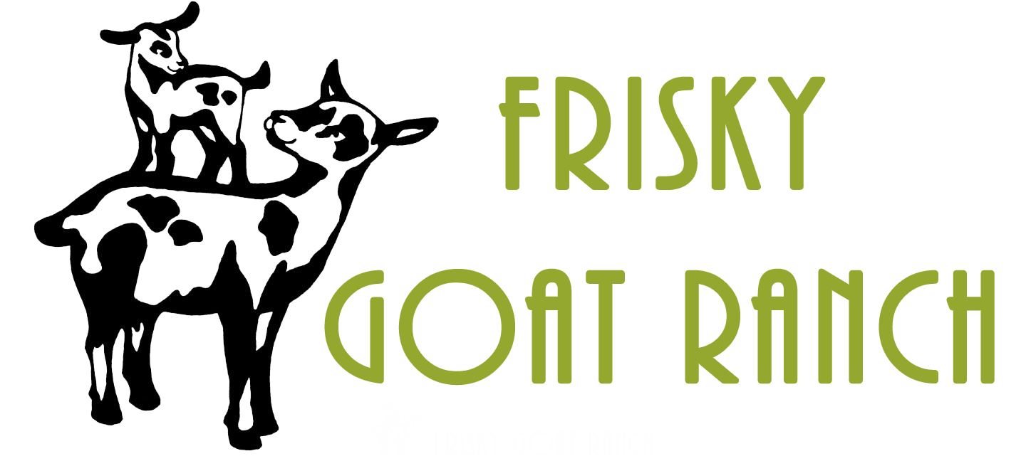 Nigerian Dwarf Goats - Frisky Goat Ranch